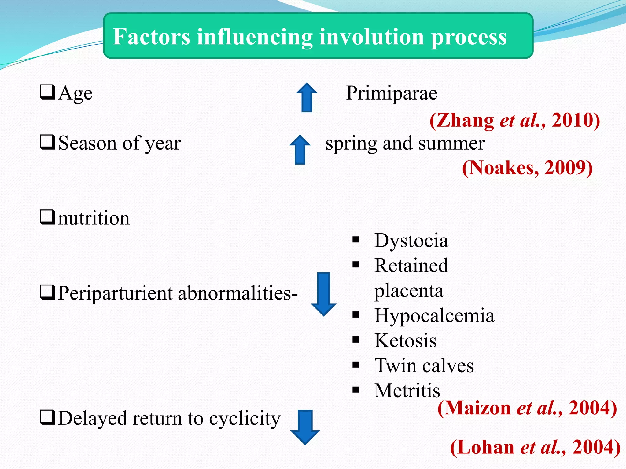 pathophysiology of uterine involution and its therapeutic management | PPTX