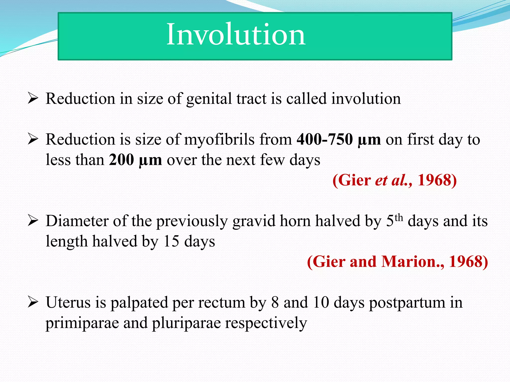 pathophysiology of uterine involution and its therapeutic management | PPTX