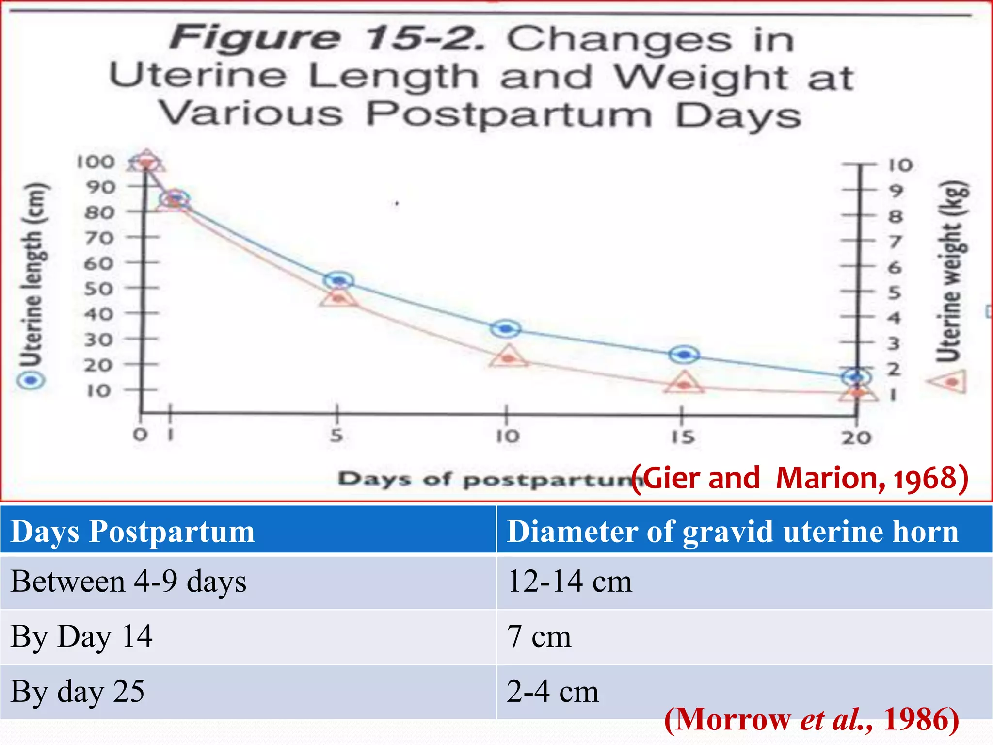 pathophysiology of uterine involution and its therapeutic management | PPTX