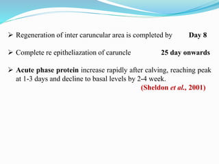 pathophysiology of uterine involution and its therapeutic management | PPTX