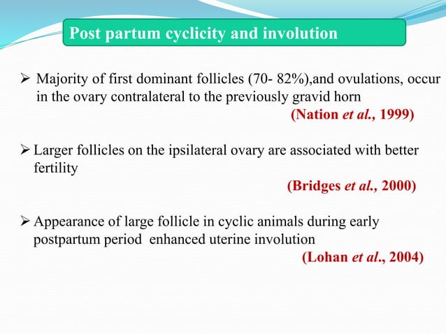 pathophysiology of uterine involution and its therapeutic management