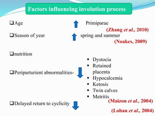 pathophysiology of uterine involution and its therapeutic management | PPTX