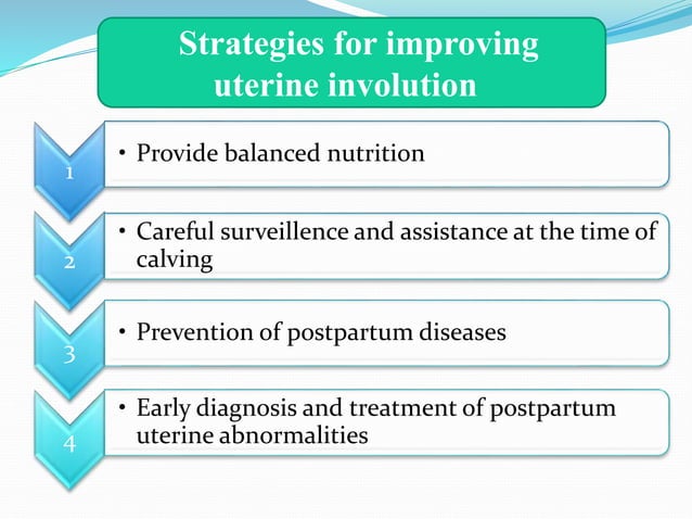 pathophysiology of uterine involution and its therapeutic management