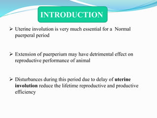 pathophysiology of uterine involution and its therapeutic management | PPTX