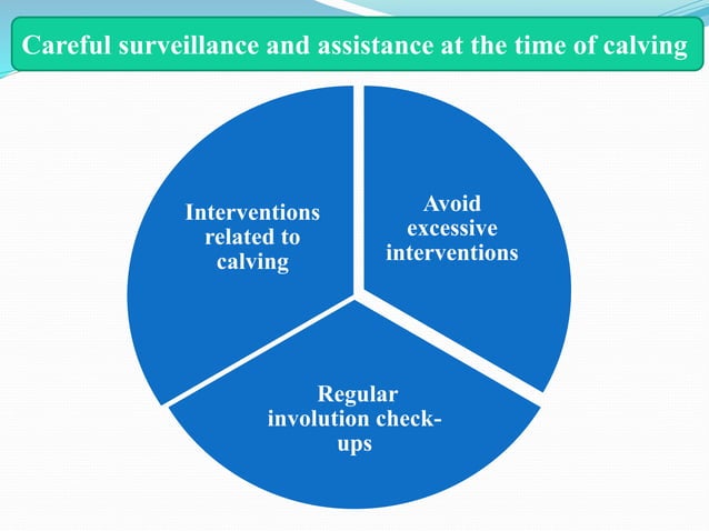 pathophysiology of uterine involution and its therapeutic management ...