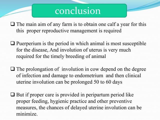 pathophysiology of uterine involution and its therapeutic management ...
