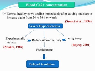 pathophysiology of uterine involution and its therapeutic management | PPTX