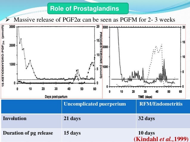pathophysiology of uterine involution and its therapeutic management