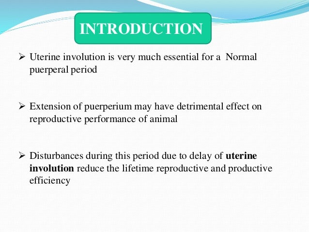pathophysiology of uterine involution and its therapeutic management