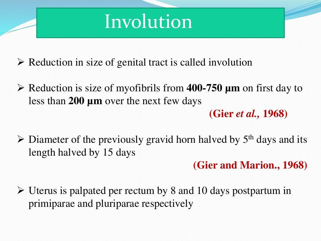 pathophysiology of uterine involution and its therapeutic management
