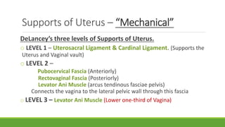 Uterine Prolapse.pptx
