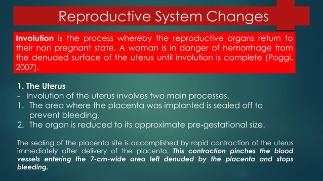 Postpartum Hemorrhage and Uterine Atony | PDF | Pregnancy ...