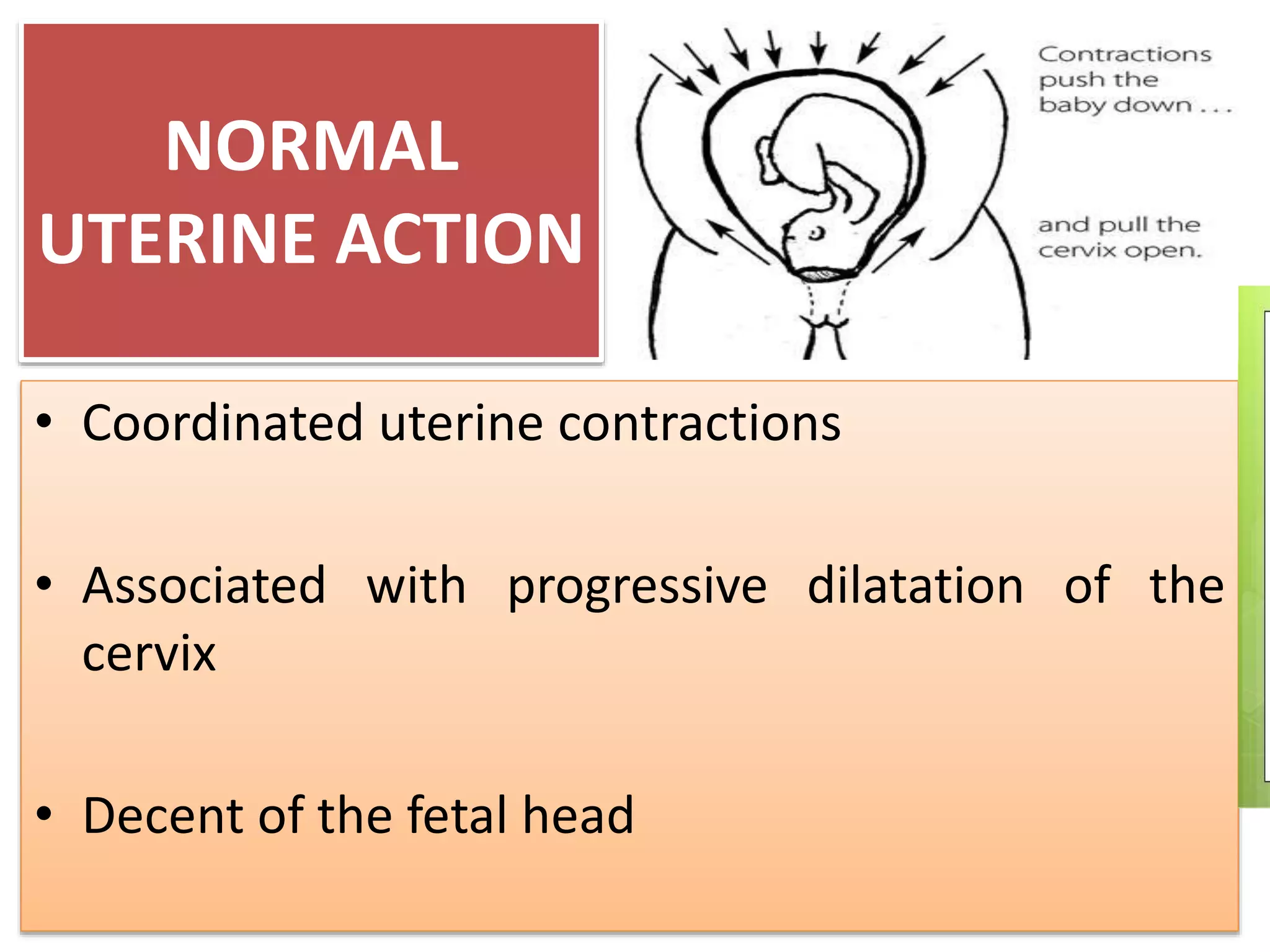 Uterine Inertia, Precipitate Labor and Uterine Tetany | PPTX