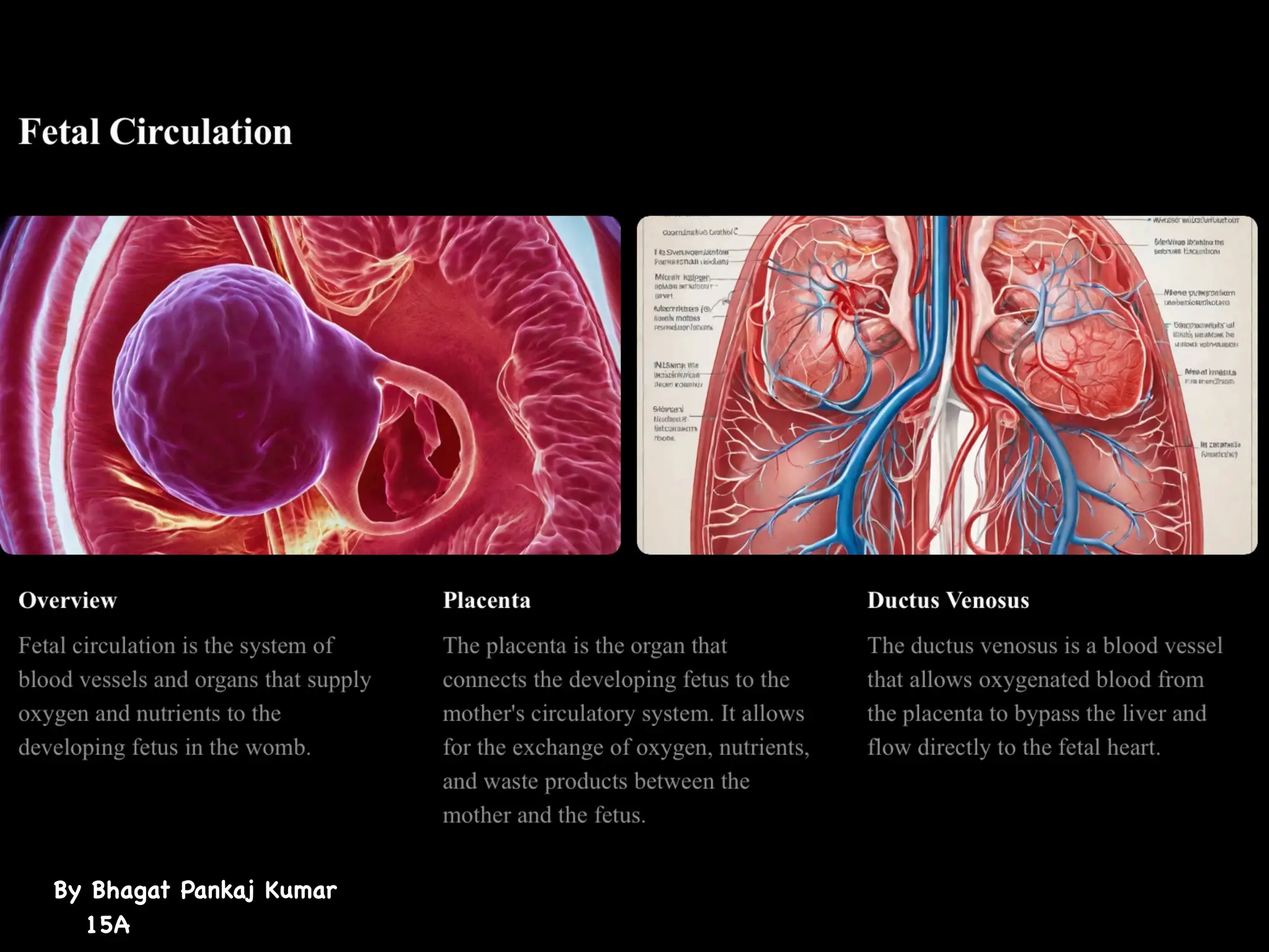 Utero fetal circulation By Bhagat Pankaj Kumar 15 A.pdf