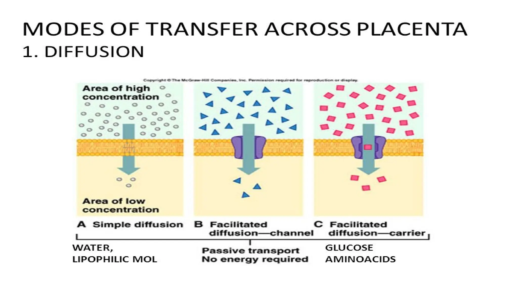 Uteroplacental Circulation and Transfer of drugs.pptx