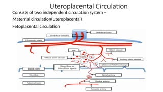 Uteroplacental Circulation and Transfer of drugs.pptx