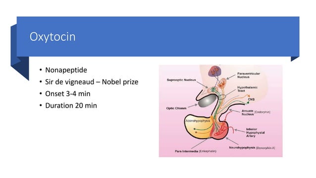 Uterotonics | PPTX