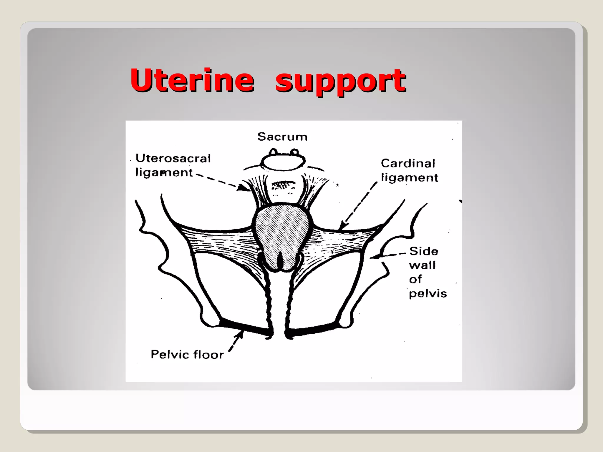 Utero vaginal prolapse | PPT