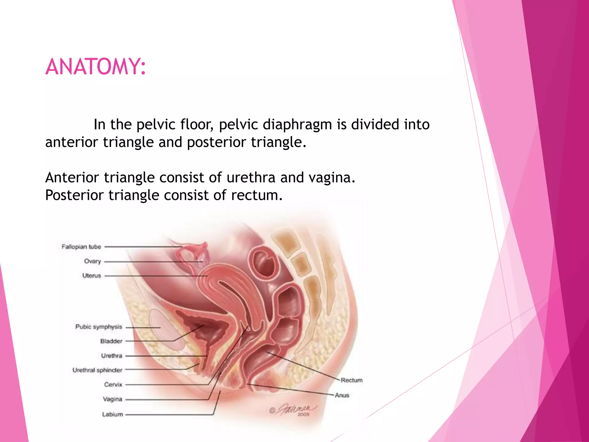 Uterovaginal prolapse By Dr rizwan ullah khan | PPTX