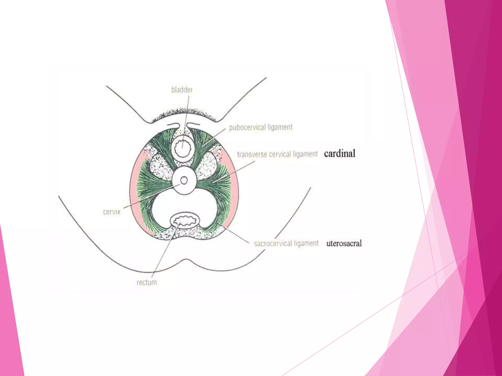 Uterovaginal prolapse By Dr rizwan ullah khan | PPTX