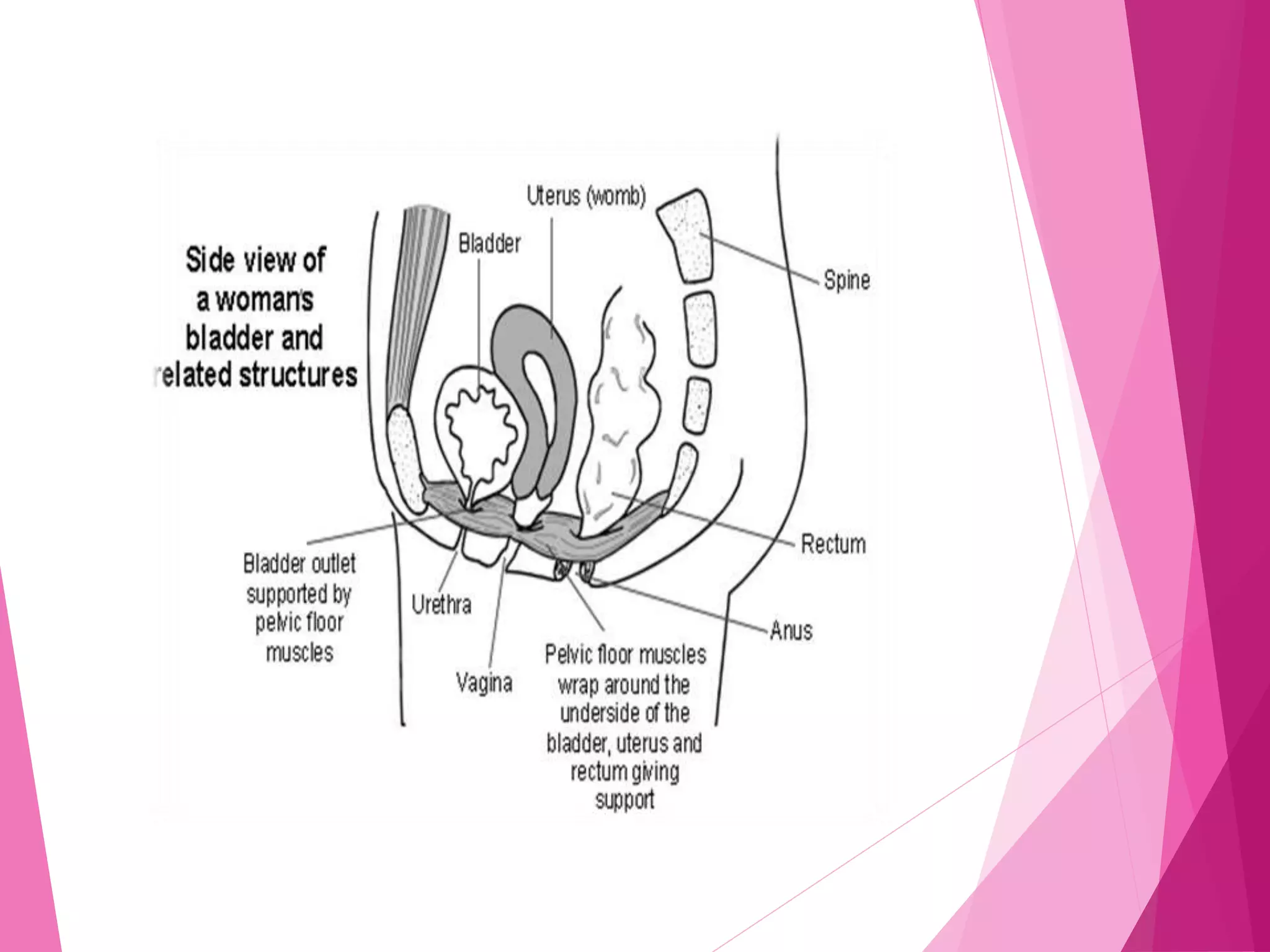 Uterovaginal prolapse By Dr rizwan ullah khan | PPTX