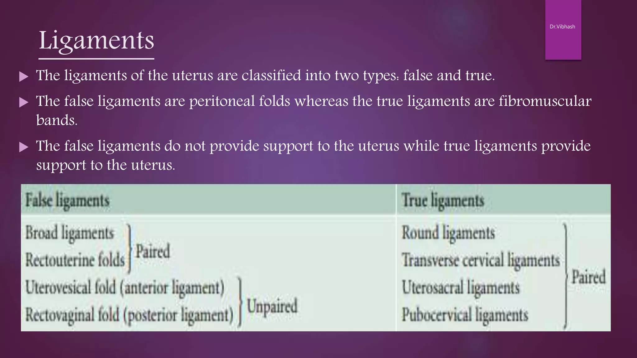 Gross Anatomy of Uterus | PPTX