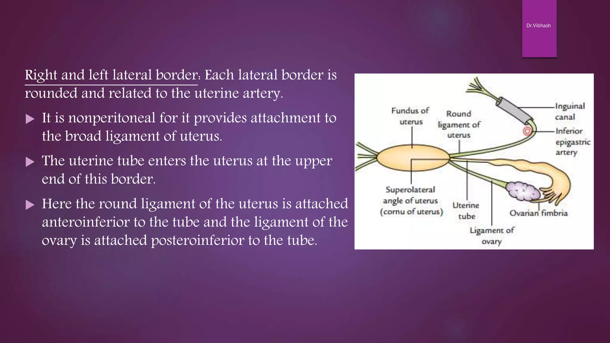 Gross Anatomy of Uterus | PPTX