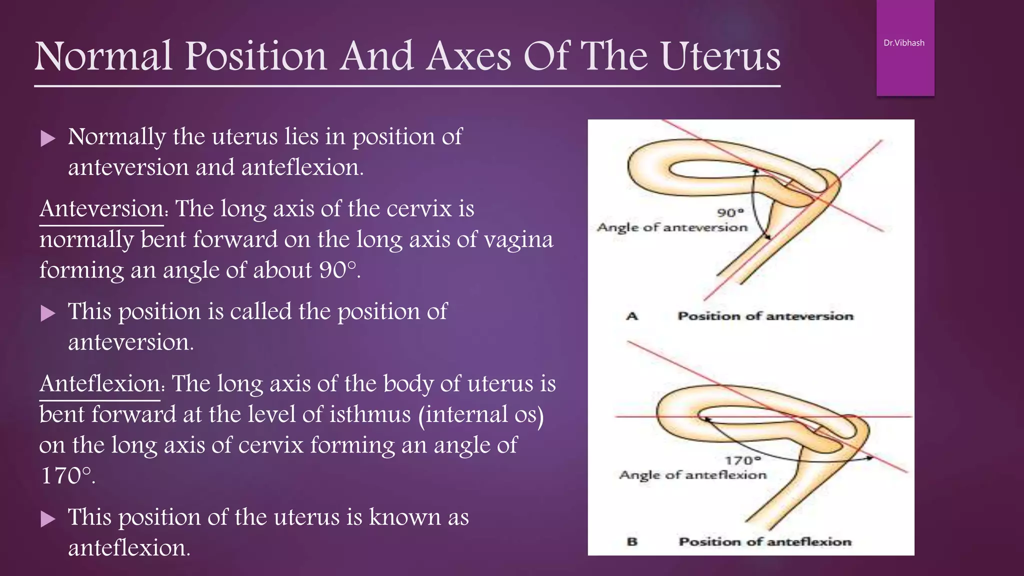 Gross Anatomy of Uterus | PPTX
