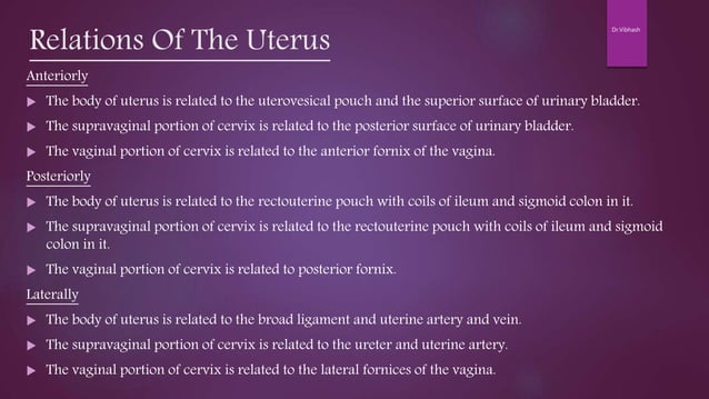 Gross Anatomy of Uterus | PPTX
