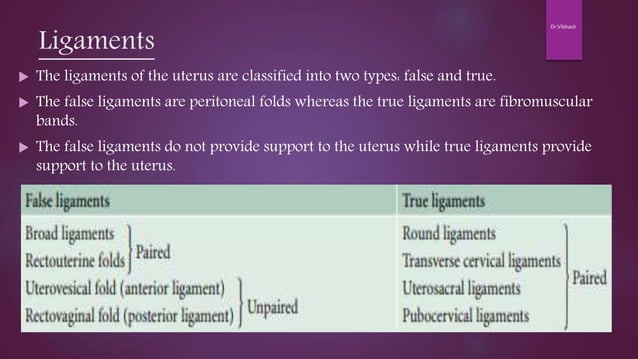 Gross Anatomy of Uterus | PPTX