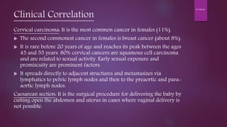 Gross Anatomy of Uterus | PPTX