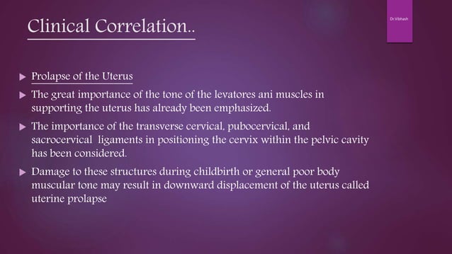 Gross Anatomy of Uterus | PPTX