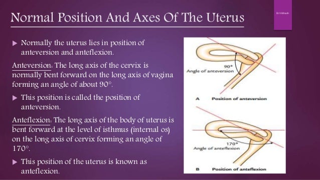 Gross Anatomy of Uterus