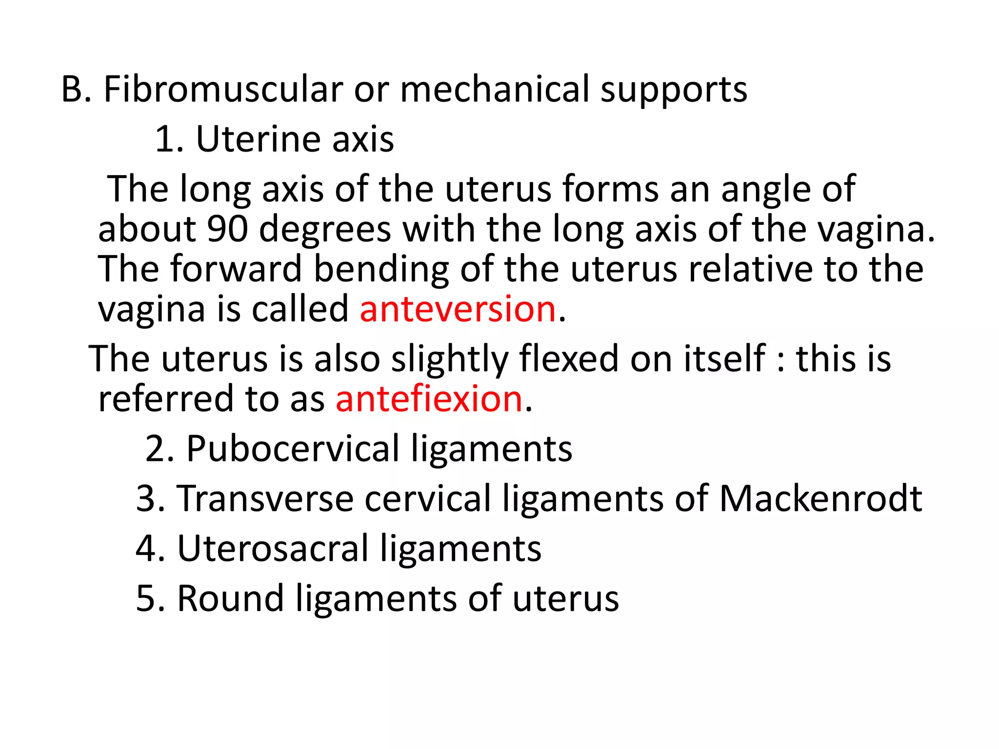 uterus.pptx