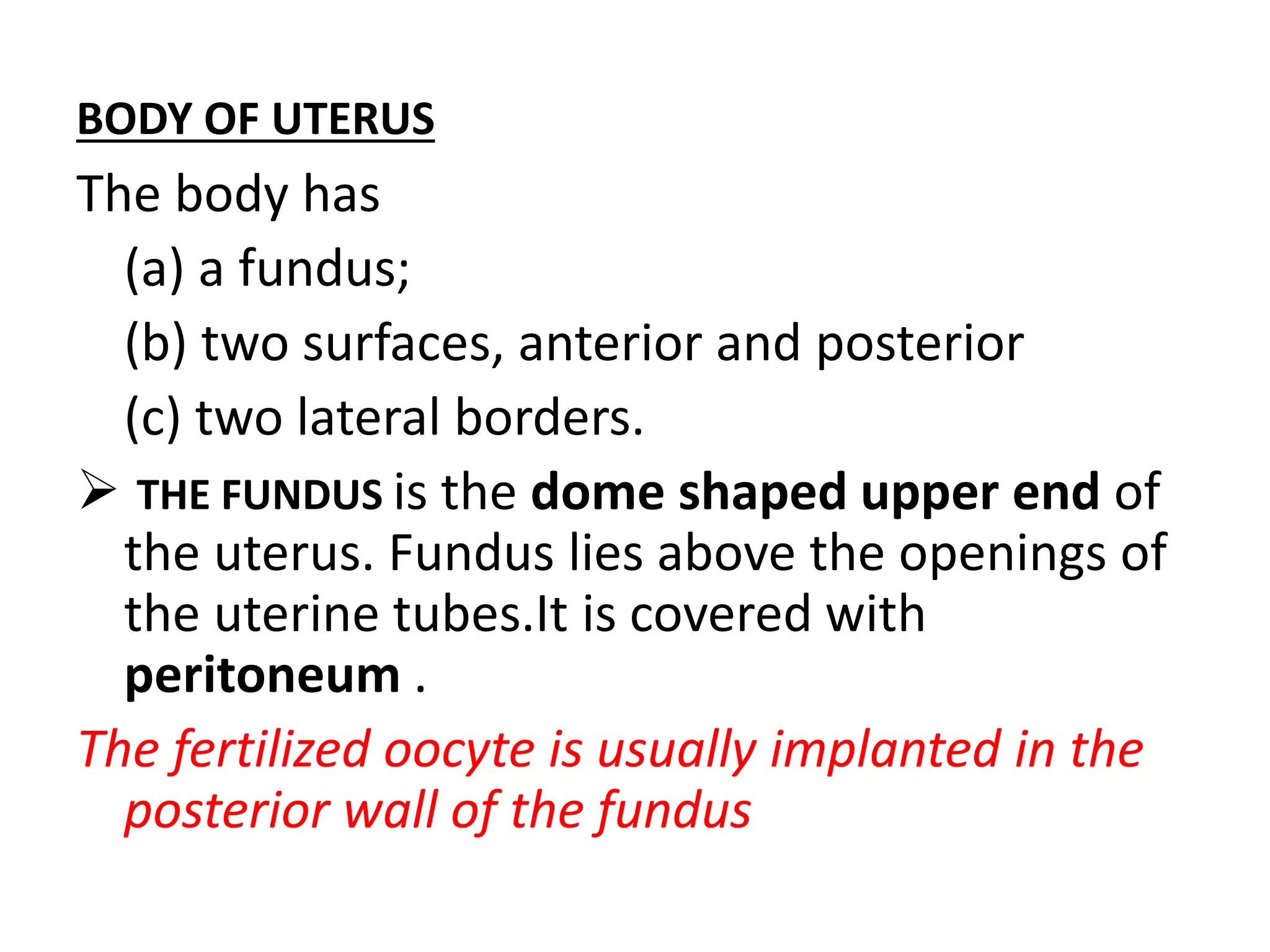 uterus.pptx