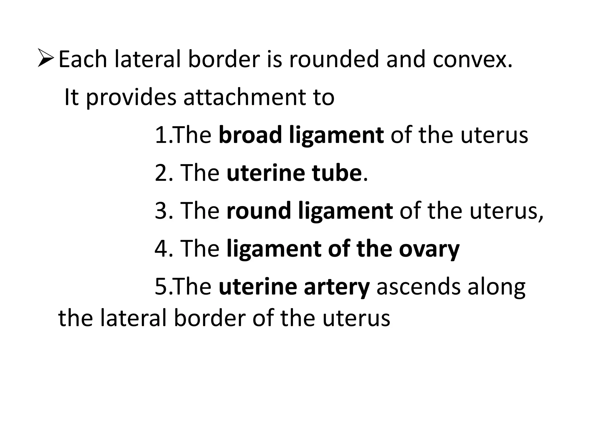 uterus.pptx