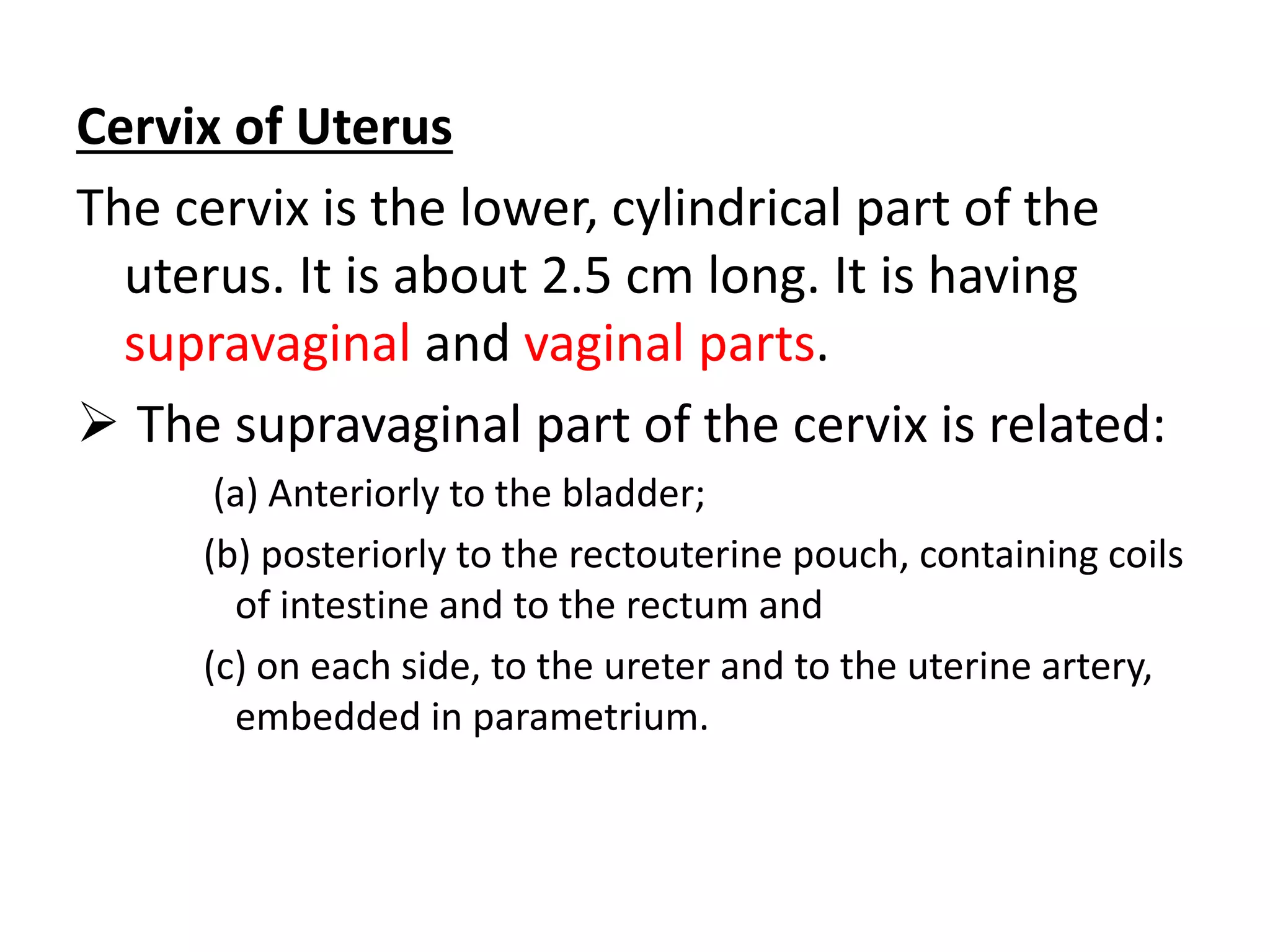 uterus.pptx