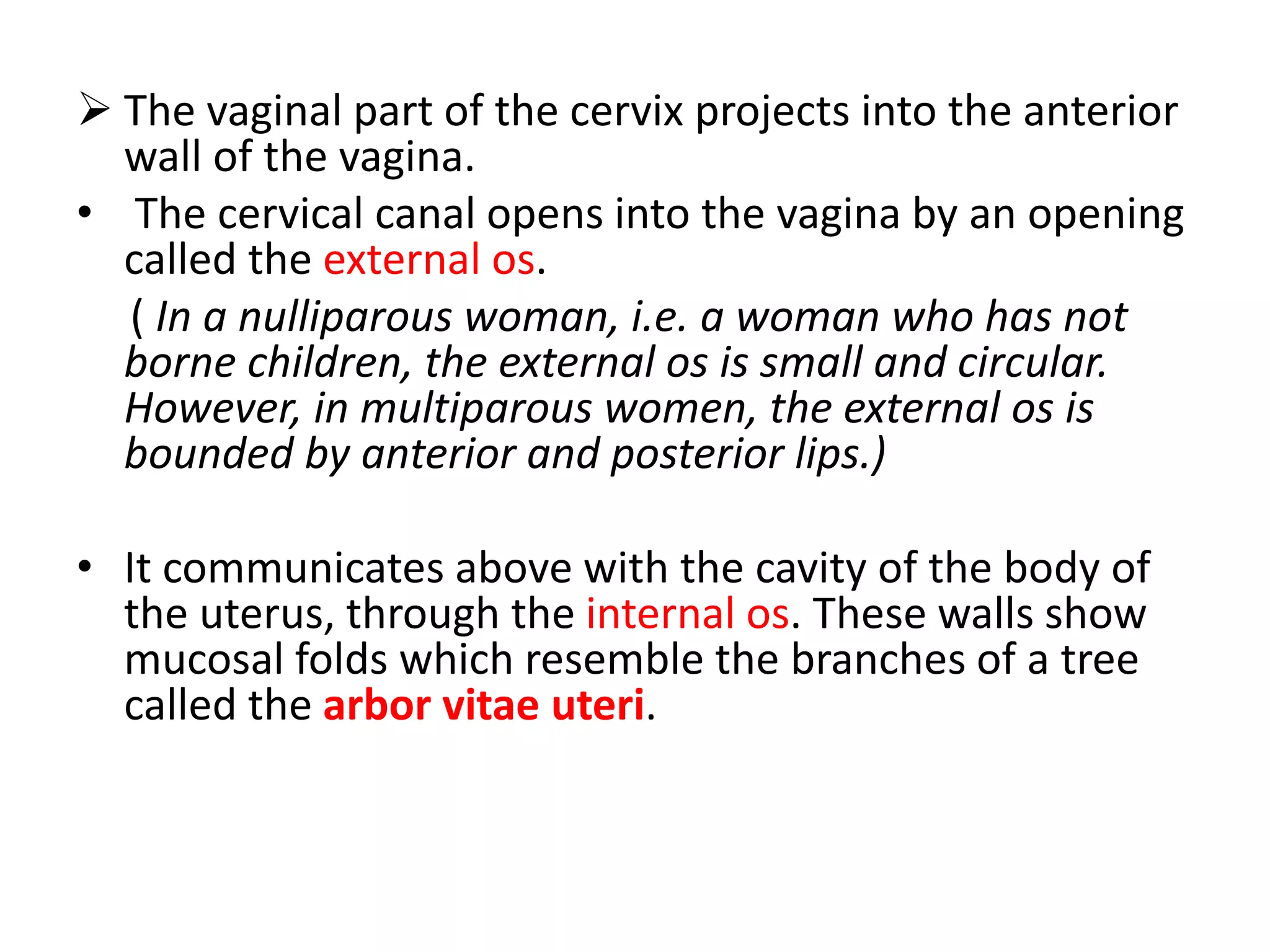uterus.pptx