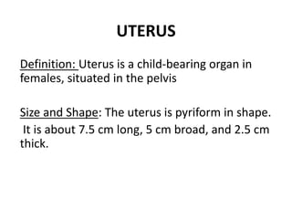 uterus.pptx