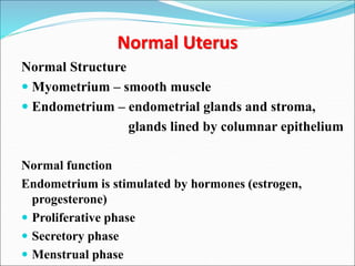uterus.ppt