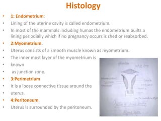 UTERUS.pptx