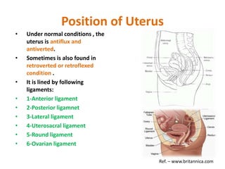 UTERUS.pptx
