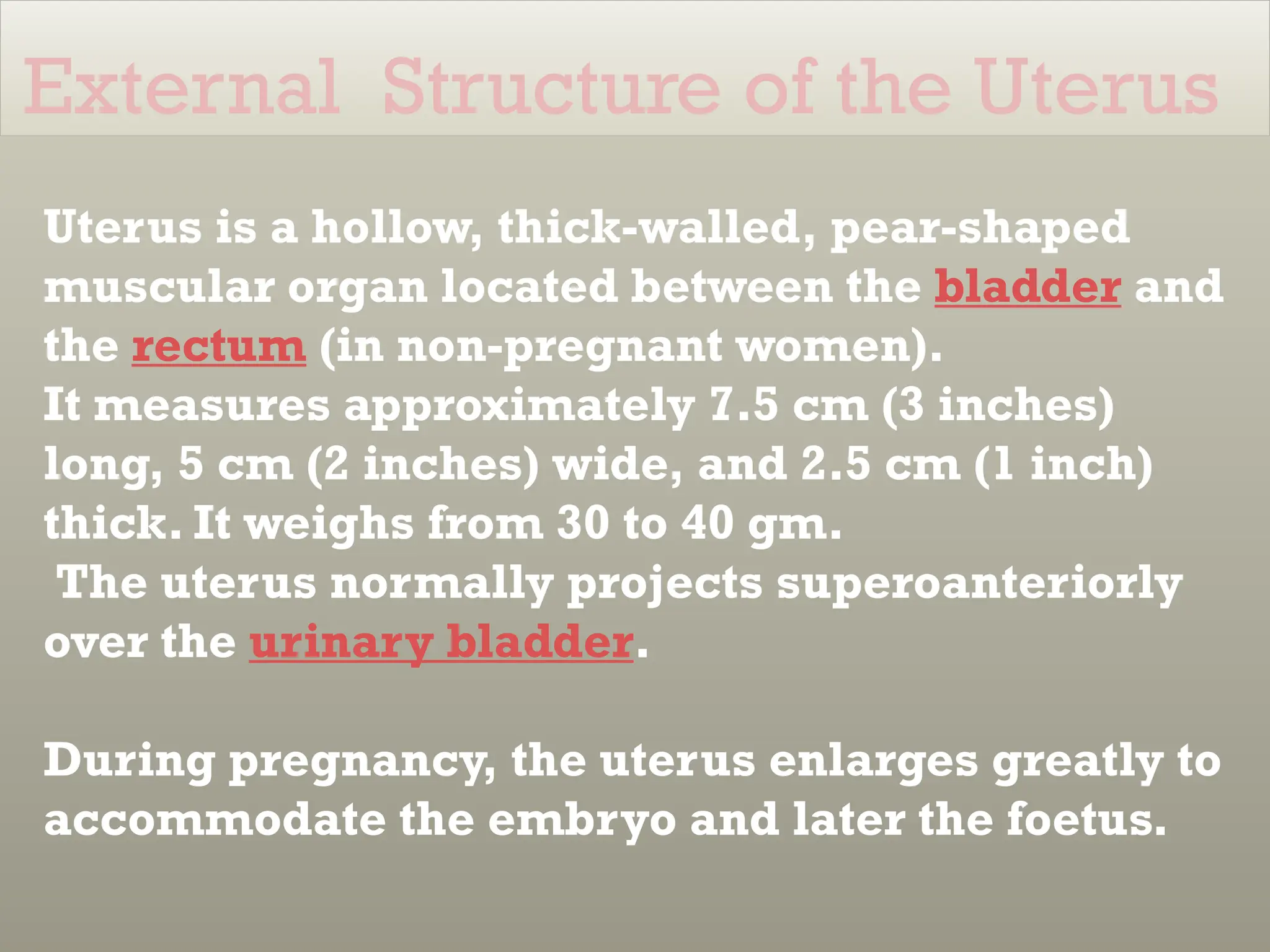 Uterus-Anatomy-Physiology-1.power point presentastion | PPTX
