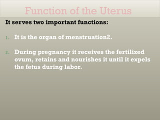 Uterus-Anatomy-Physiology-1.power point presentastion | PPTX