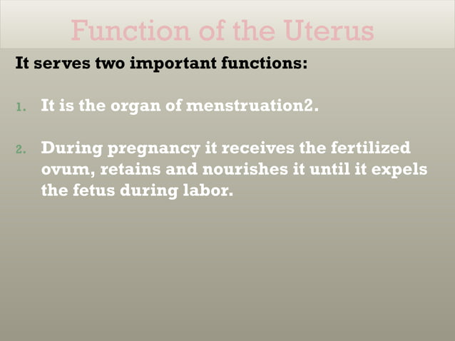 Uterus-Anatomy-Physiology-1.power point presentastion | PPT