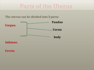 Uterus-Anatomy-Physiology-1.power point presentastion | PPTX