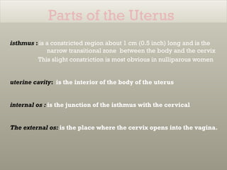 Uterus-Anatomy-Physiology-1.power point presentastion | PPTX