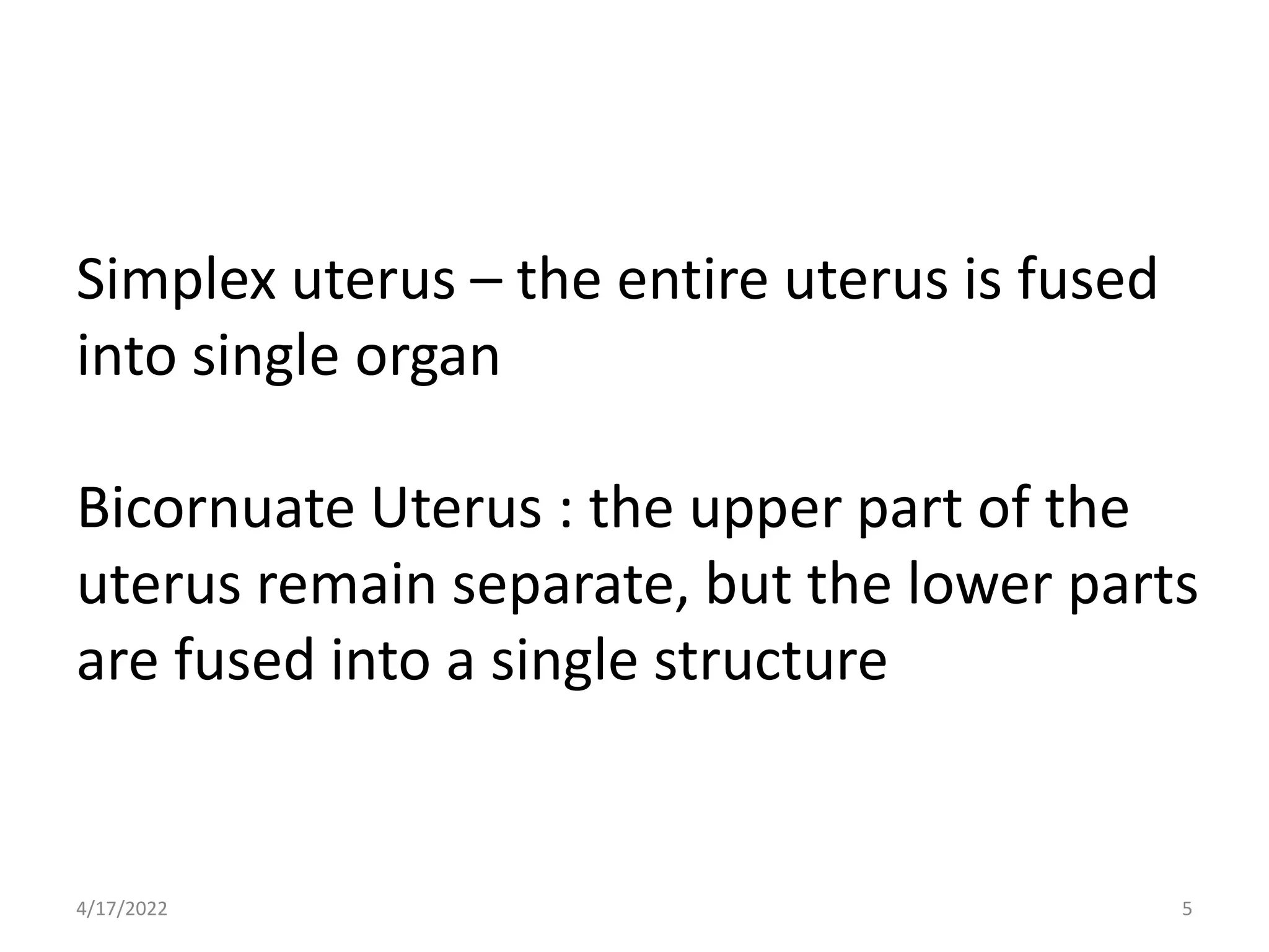 Uterus Anatomy.pptx