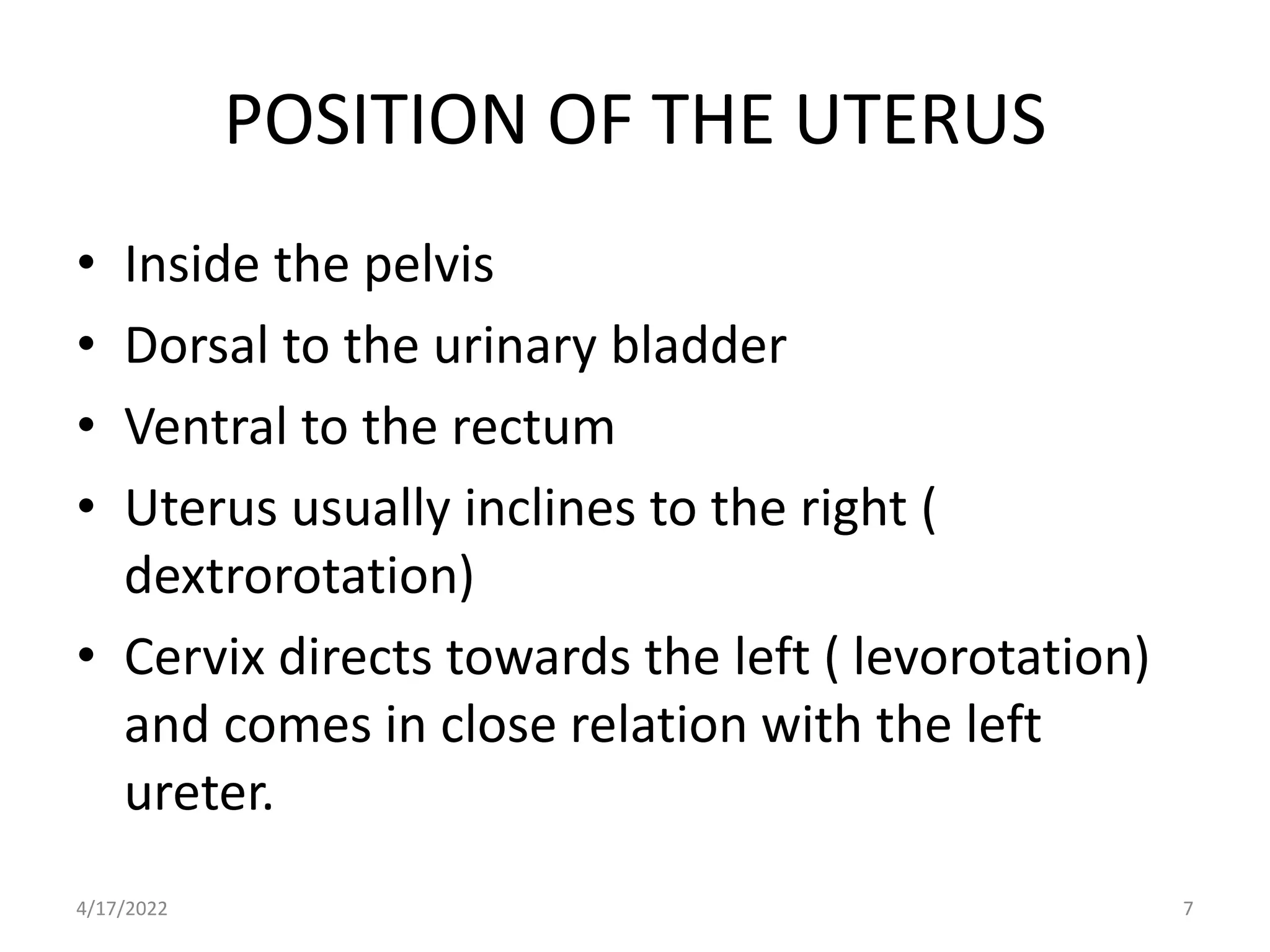 Uterus Anatomy.pptx
