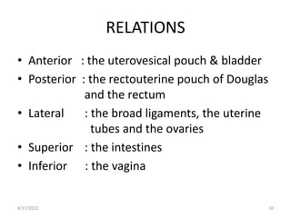 Uterus Anatomy.pptx